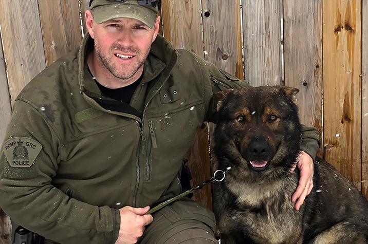 Un chien de police à la rescousse d'un homme perdu dans les bois ...